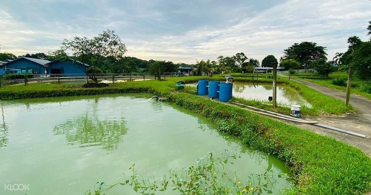 agriculture-and-fish-farming-sustainability-tour-at-jalan-lekar-klook